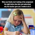 20 Hilarious Memes Students Can Relate To Presto Experts